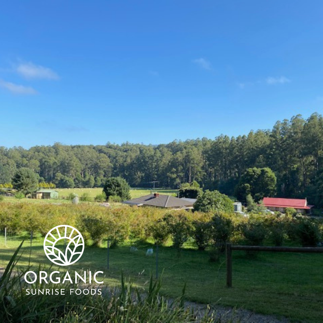 The Organic Sunrise Food Story – Organic Sunrise Foods